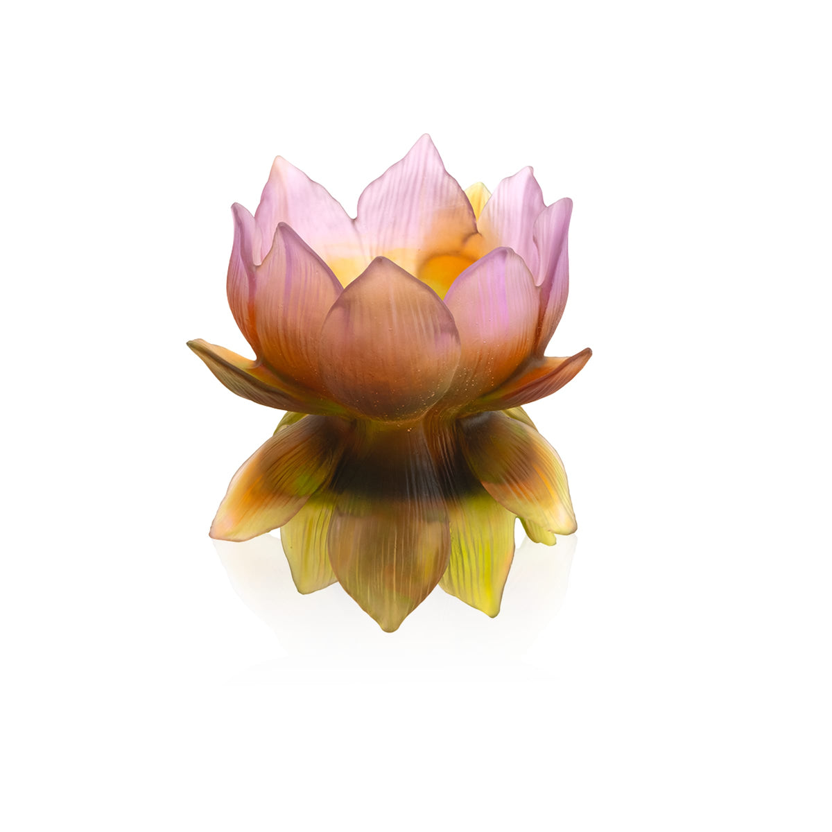 Daum Jardin De Lotus Medium Vase – Mary Mahoney